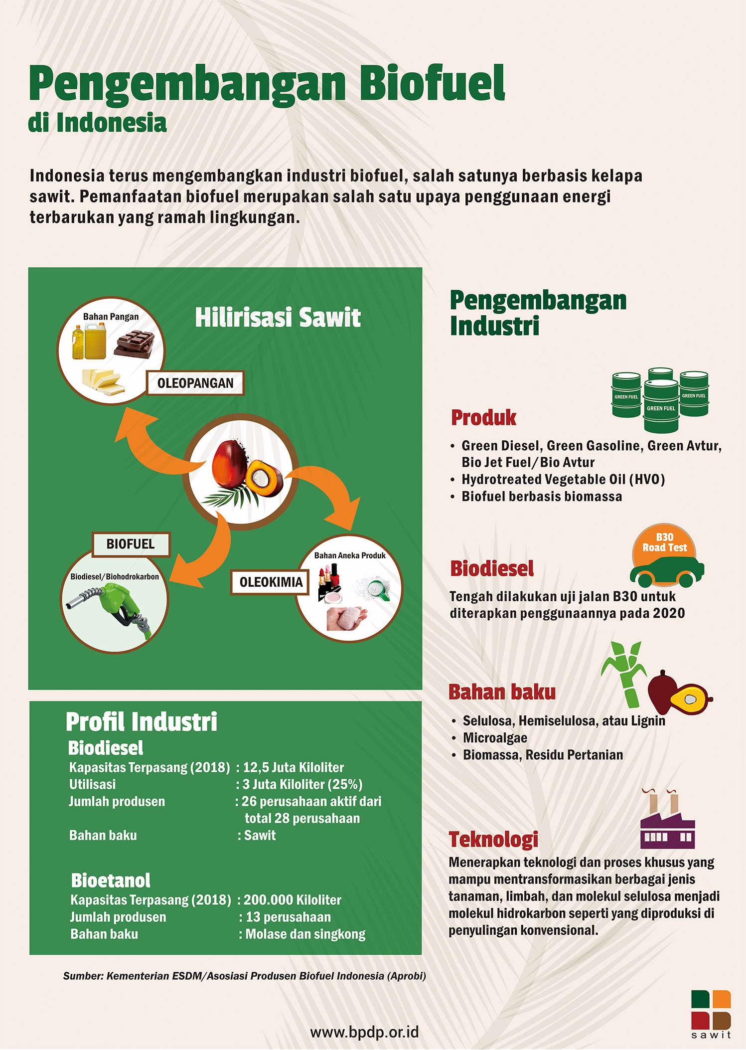 Infografis - Amandasari Amandasari