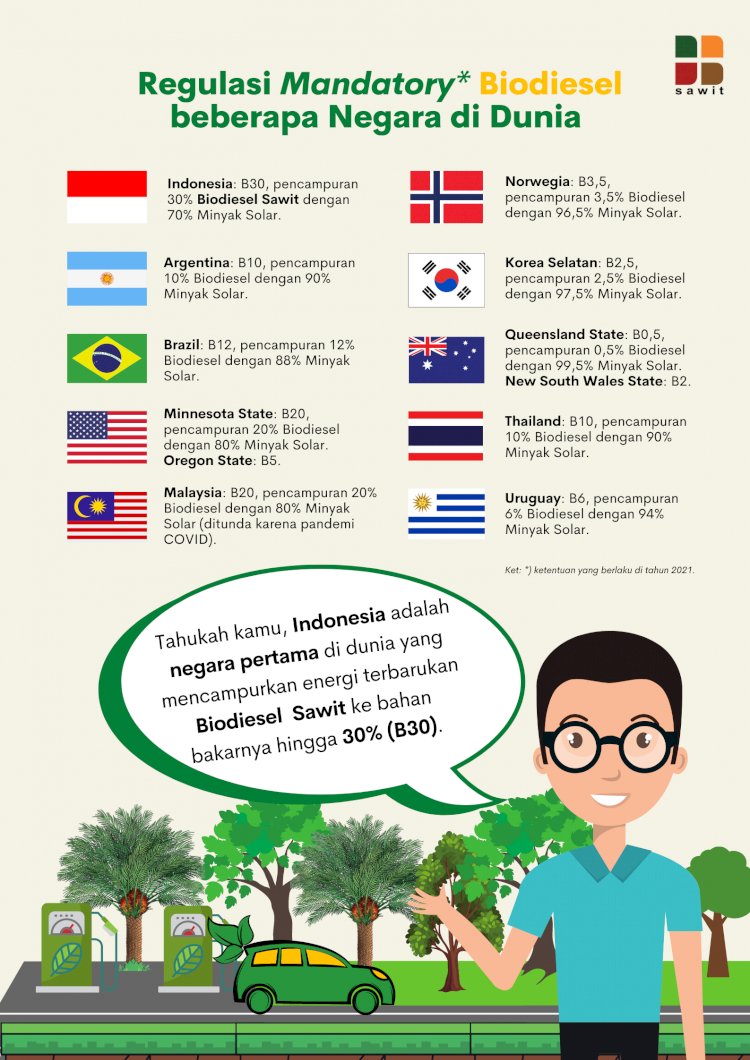 Infografis - Amandasari Amandasari