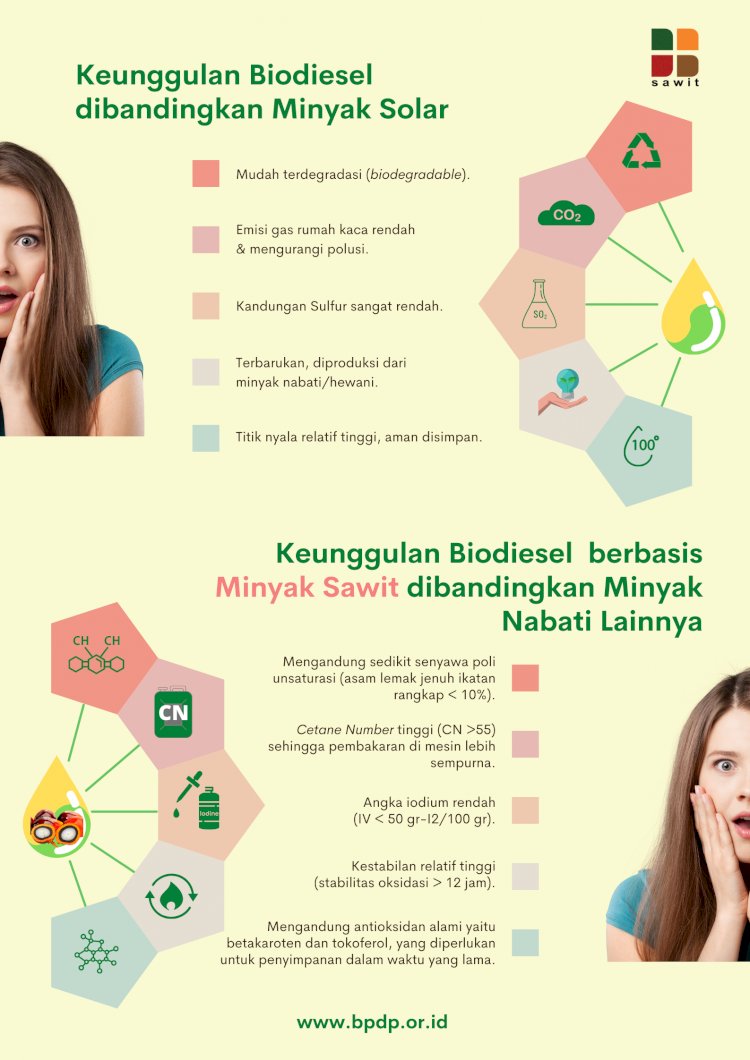 Infografis - Amandasari Amandasari