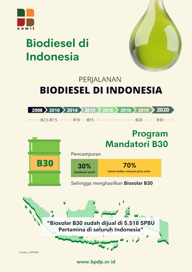 Infografis - Amandasari Amandasari