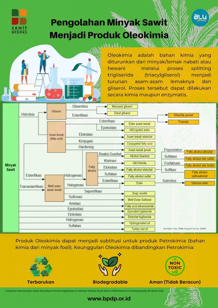 Infografis - Amandasari Amandasari